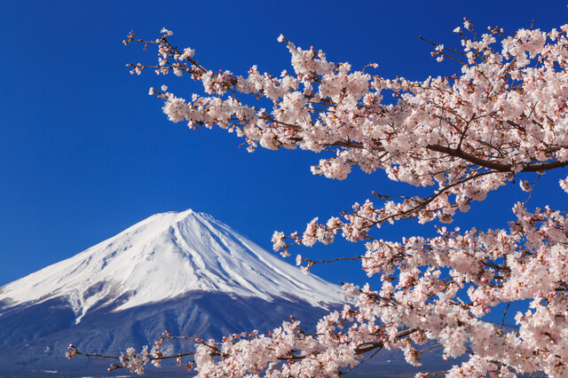 古式豊かな日本旅館で海山満載のりょうりを楽しむ | 癒やしの旅＆ささやかな男の夢